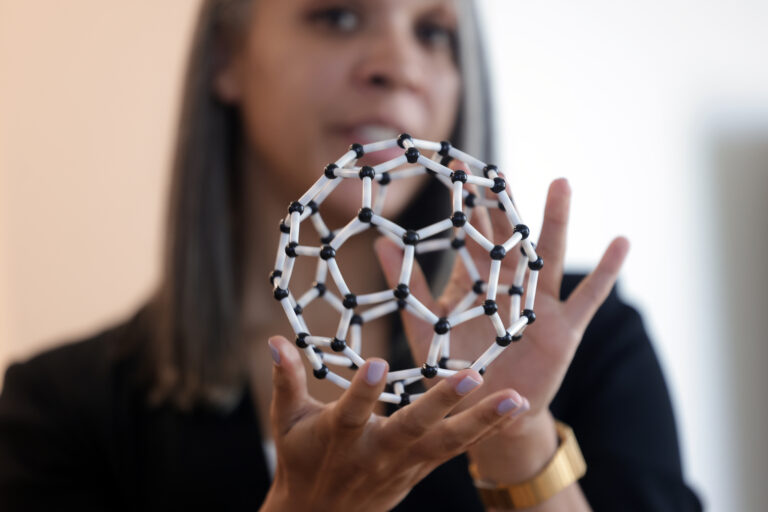 Dr. Rebecca K. Lindsey – Lindsey Lab